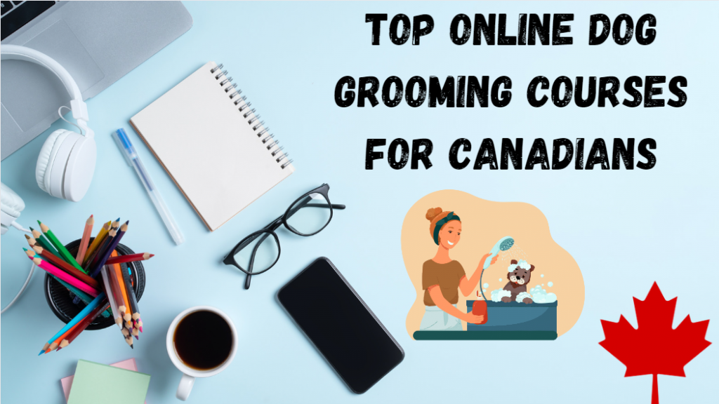 Top 7 Online Dog Grooming Courses for Canadians in 2026